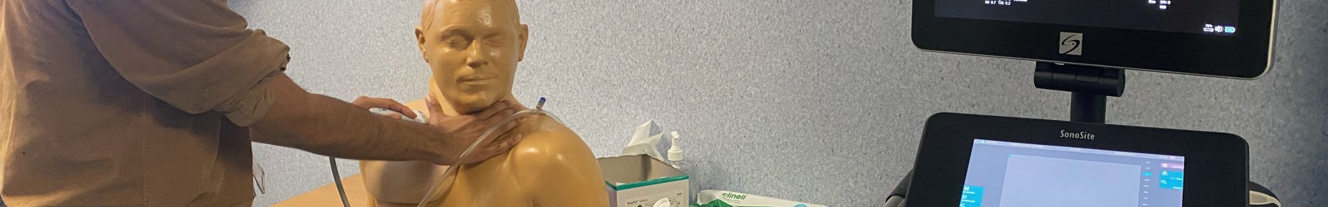 Ultrasound Guided Cannulation | DREEAM